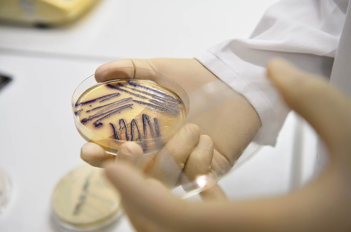 Imagaufnahmen Food Process Product Engineering TiHo